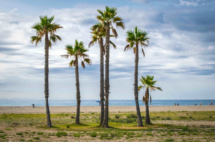 Comarruga en primera línea de playa - BuscoUnChollo.com