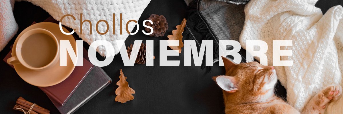 BuscoUnChollo.com - Chollos de Viaje y Hoteles desde 19€